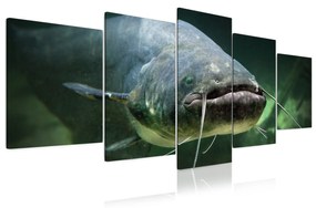 Malvis ® Obraz Sumec pod vodou ROZMĚR (šířka x výška): třídílný obdélník 150x60 cm