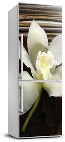 Wallmuralia Fototapeta nálepka na ledničku Orchidej 60x180 cm