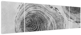 Obraz - Motiv stromu (170x50 cm)