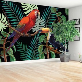 Fototapeta Ara Toucan 104x70