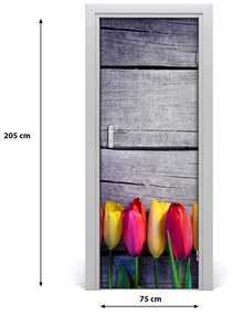 Samolepící fototapeta na dveře barevné tulipány 75x205 cm