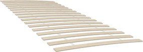 Náhradní lamely k posteli s 48 lamelami 2 ks 100x200 cm 3203726