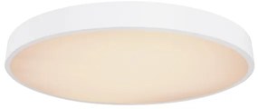 Globo - LED Stmívatelné stropní svítidlo LED/48W/230V + dálkové ovládání