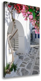 Wallmuralia Vertikální Foto obraz na plátně Řecká vesnice 50x100