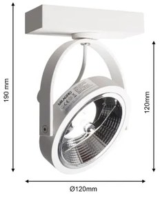 Nástěnné bodové svítidlo LUGAR 1xAR111 - GU10/25W/230V