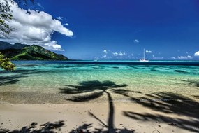 DIMEX | Samolepicí vliesová fototapeta na zeď Moorea Beach MA-5-3221 | 375 x 250 cm | zelená, modrá, žlutá