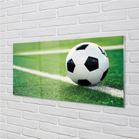 akrylový obraz fotbalový trávník 125x50 cm