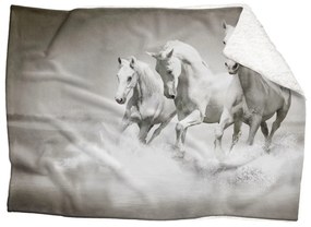 IMPAR Fleecová deka Běžící koně 150x120 cm (Rozměr : 150 x 120 cm, Podšití beránkem: ANO)