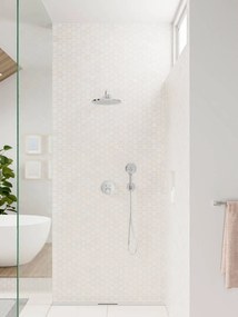 Hansgrohe Raindance Select S, ruční sprcha 120 3jet, chromová, HAN-26530000