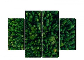 Vícedílný obraz Letecký Pohled Na Zelený Les Nedostatek Nedostatek Přírodní plátno 200x150