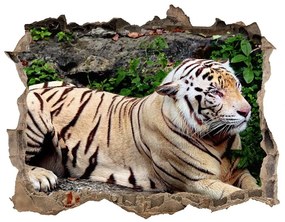 Wallmuralia Fototapeta díra na zeď Tygr na skále 95x64 cm