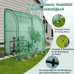 Costway Film Greenhouse Walk-in Mini skleník s policí na květiny, zelený