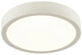 XXXLutz STROPNÍ LED SVÍTIDLO, 22,5/3,6 cm Boxxx - Stropní svítidla - 008227078102