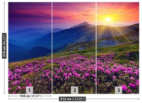 Fototapeta Rhododendron Květiny 104x70