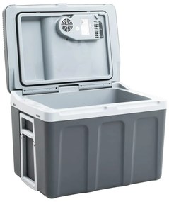 Přenosný termoelektrický chladicí box 40 l 12 V 230 V E