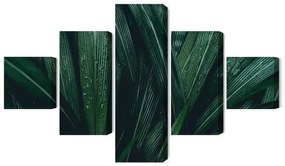 Vícedílný obraz Tmavě Zelené Listy Na Makro Stupnici Nedostatek Nedostatek Plátno Canvas 250x150