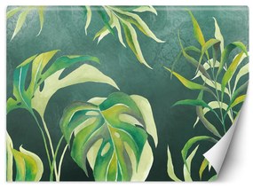 Gario Fototapeta Listy monstery na tmavě zeleném pozadí Materiál: Vliesová, Rozměry: 200 x 140 cm