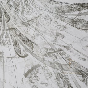 MAKOSATENOVÉ POVLEČENÍ EVA MINGE STELIA 200X220 CM, 2 KS 70X80 CM VZOROVANÉ