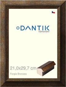 DANTIK rámeček 21x29,7 | Forgia Bronzea (Sklo Čiré)