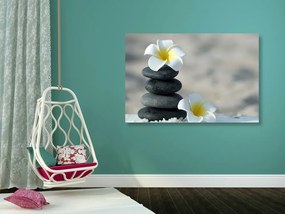 Obraz harmonické kameny a květ plumerie Varianta: 120x80