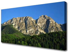 Obraz na plátně Hora Les Příroda 120x60 cm