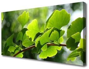 Obraz na plátně Větve Listy Příroda Strom 100x50 cm