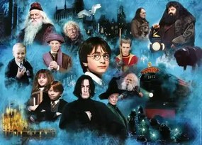 Ravensburger Puzzle Kouzelný svět Harryho Pottera / 1000 dílků / od 14