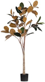 WOOOD Umělá rostlina RUBBER 170cm
