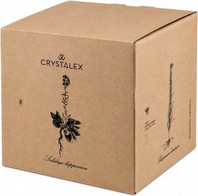 Crystalex Sklenice Herbal 440 ml 4 ks