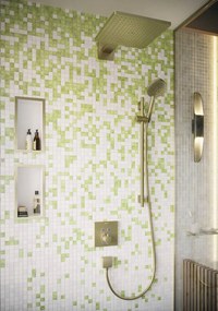 Hansgrohe Raindance Select S, ruční sprcha 120 3jet, kartáčovaný bronz, HAN-26530140