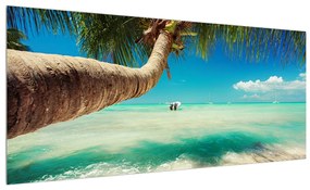 Obraz čistého moře s palmou (100x40 cm)