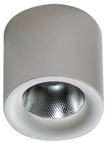 LED bodové světlo Mane 30W Dimm bílé