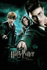 Umělecký tisk Harry Potter and The order of the Phoenix