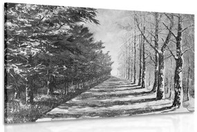 Obraz podzimní alej stromů v černobílém provedení - 120x80 cm