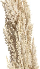 Větvička pampové trávy 90cm cream