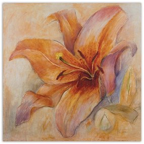 Obraz na plátně Lilie Květiny Oranžová - 30x30 cm