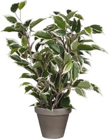 Mica Decorations Umělá květina Ficus Natasaja 40 cm