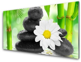 Obraz na skle Bambus Kameny Zen Květ 100x50 cm