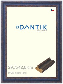 DANTIK rámeček 29,7x42 | LYON modrá (Plexi Čiré)