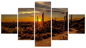 Obraz - Konec dne v arizonské poušti (125x70 cm)