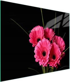 Skleněná Deska Na Krájení 52x30 Gerbera Tvrzené Sklo
