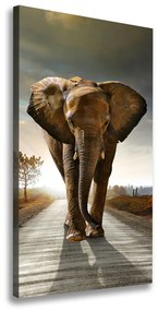 Wallmuralia Vertikální Foto obraz na plátně Chodící slon 50x100