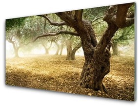 Obraz na skle Strom Tráva Příroda 140x70 cm