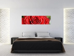Obraz květu růže (170x50 cm)