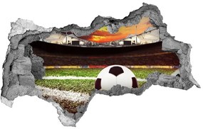 Wallmuralia Fototapeta díra na zeď 3D Míč na stadioně 95x73 cm