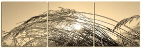 Obraz na plátně - Zimní ráno - panoráma 545FB (120x40 cm)