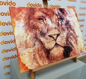 Obraz tvář lva - 120x80 cm