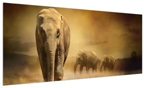 Obraz slona (100x40 cm)