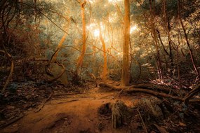 DIMEX | Samolepicí vliesová fototapeta na zeď Tajemná džungle MA-5-1593 | 375 x 250 cm | zelená, oranžová, hnědá