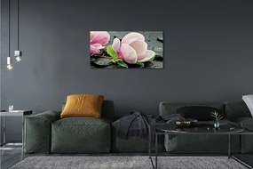 Obrazy na plátně Magnolia kameny 100x50 cm